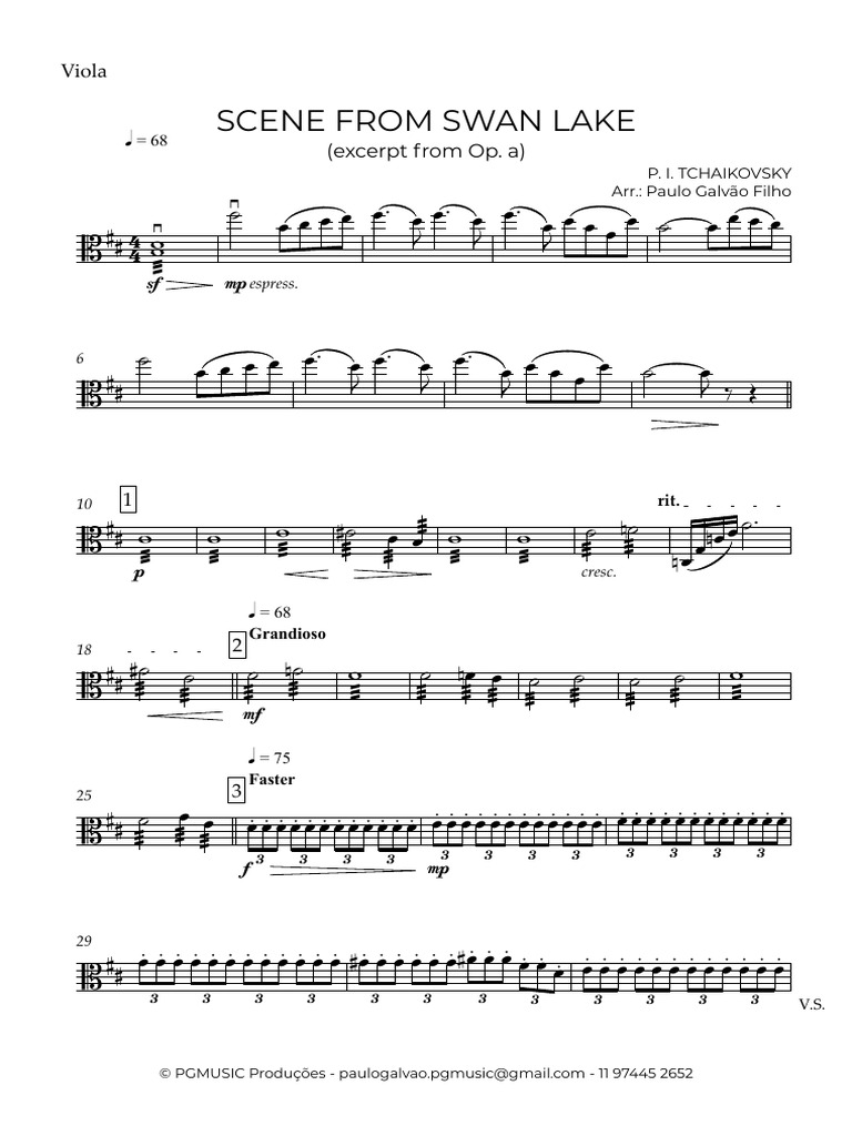 Scene From Swan Lake - Viola | PDF