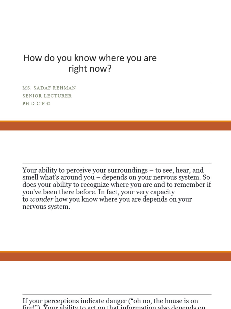 Lec 2 CNS | Download Free PDF | Neuron | Nervous System