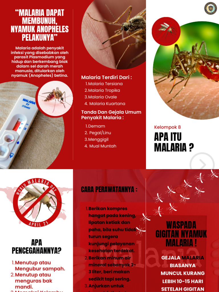 Leaflet Malaria | PDF