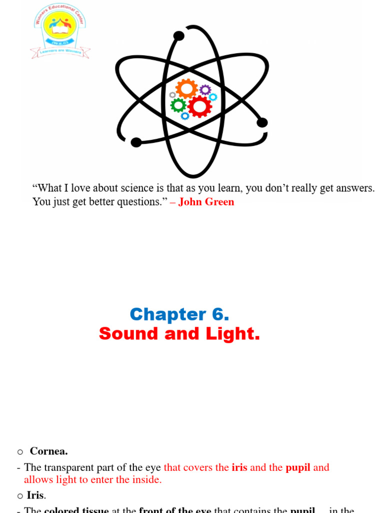 Chapter 6 B2024 Modified | PDF | Ear | Eye