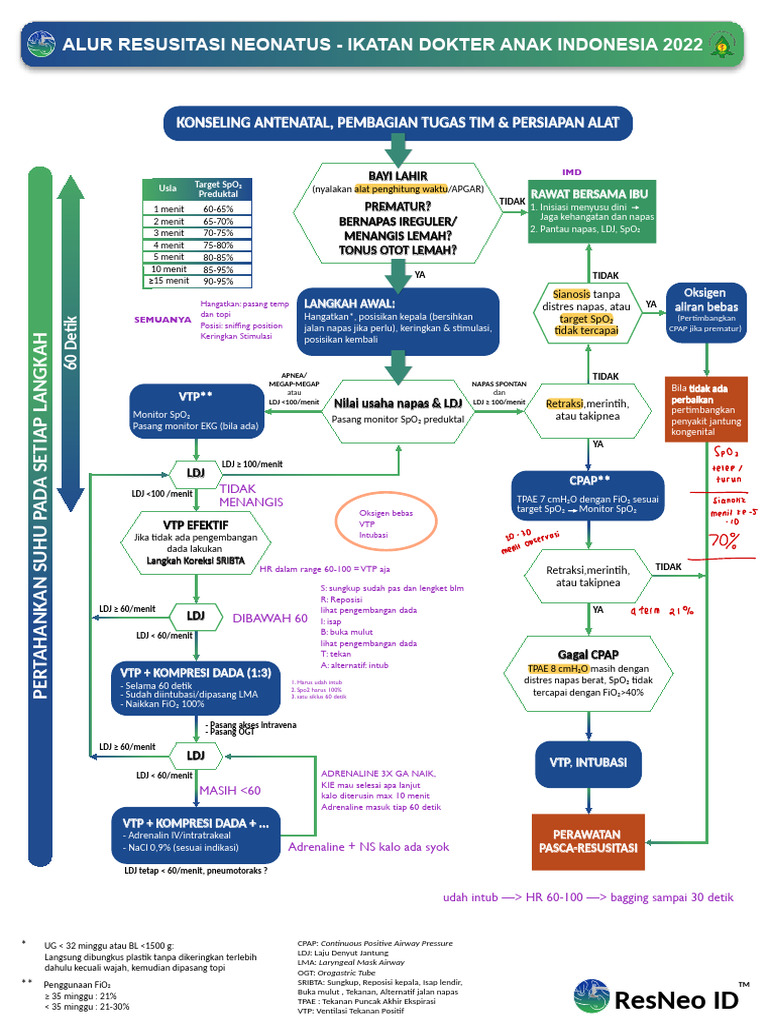 Download alur resusitasi Neonatus Ikatan Dokter Anak Indonesia 2022 2 | PDF