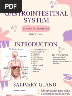 Digestive System Notes | PDF