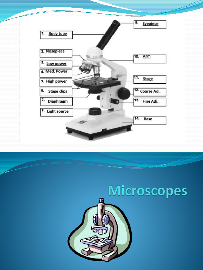 LESSON 1 Microscope | PDF | Microscope | Electron Microscope