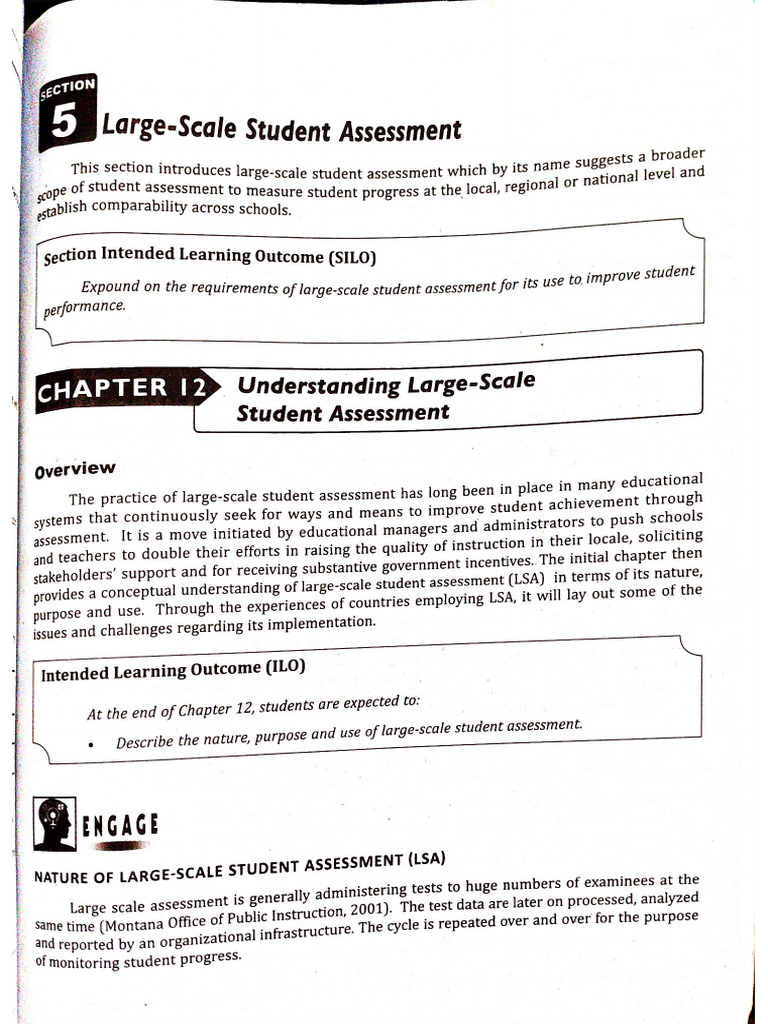 Large Scale Assessment | PDF
