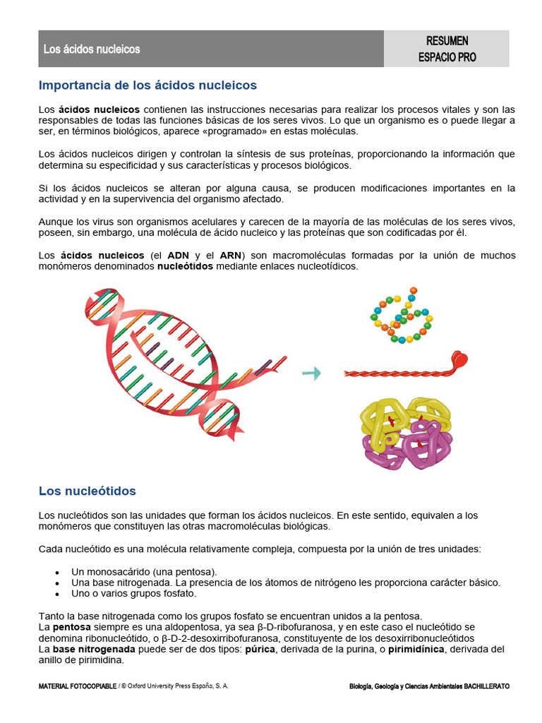TEMA 5 Nucl Tecn Estudio Resumen Espacio Pro | PDF | Adn | Rna