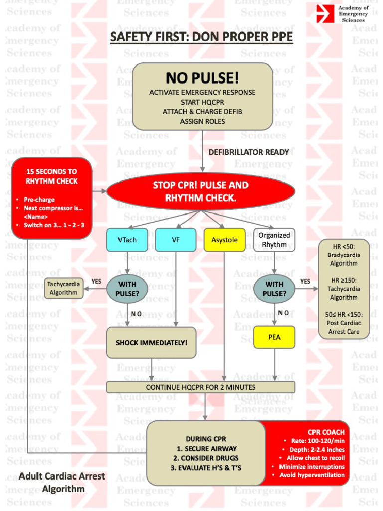 ACLS COVID Algorithms | Download Free PDF | Artificial Cardiac ...