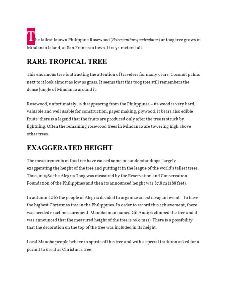 Toog Tree in Alegria | Download Free PDF | Trees