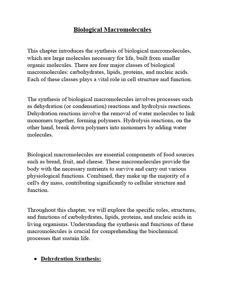 Biological Macromolecules | PDF | Rna | Protein Structure