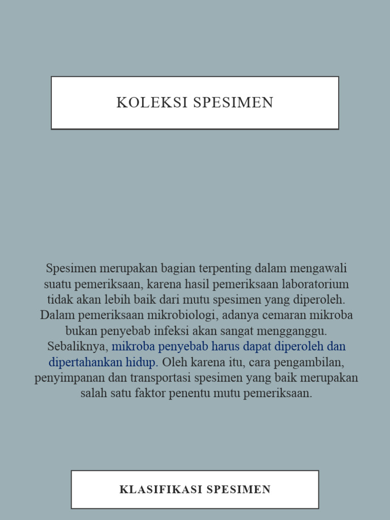 Koleksi spesimen | PDF
