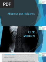 Radiografia de Abdomen | PDF | Abdomen | Anatomía