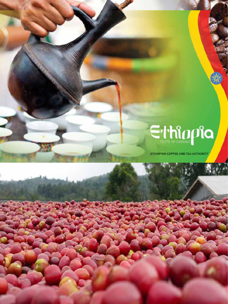 ECTA-new-Coffee-Booklet- | PDF | Coffee | Agriculture