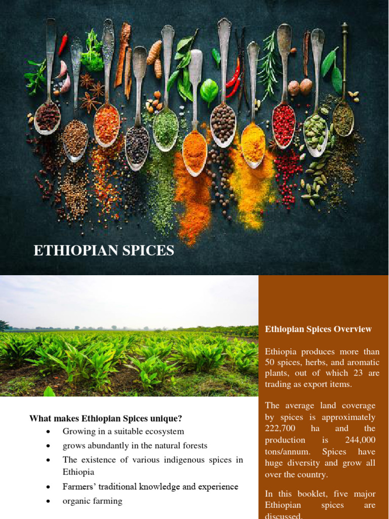 Ethiopian Spices and Their Uses | PDF | Cumin | Turmeric