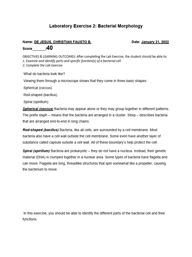 Laboratory Exercise 2 | Download Free PDF | Cell (Biology) | Bacteria