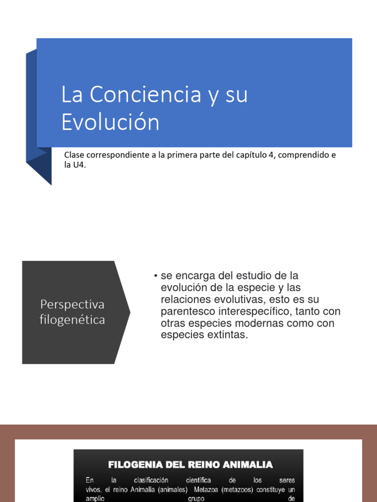 La Conciencia y Su Evolución | PDF | Mente inconsciente | Cerebro