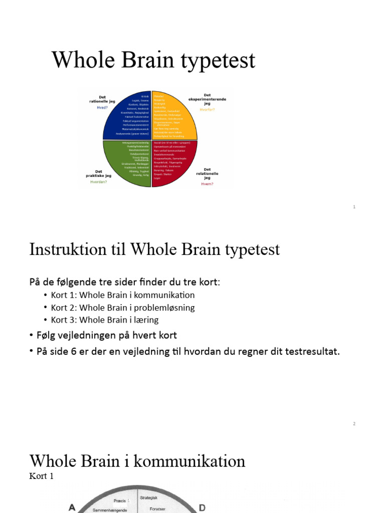 Whole Brain Test | PDF