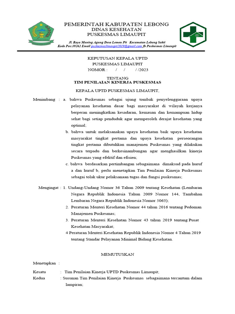 SK Tim PKP Puskesmas | PDF