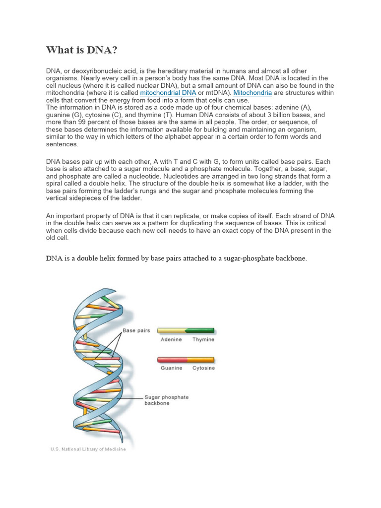 Dna System | PDF | Science & Mathematics