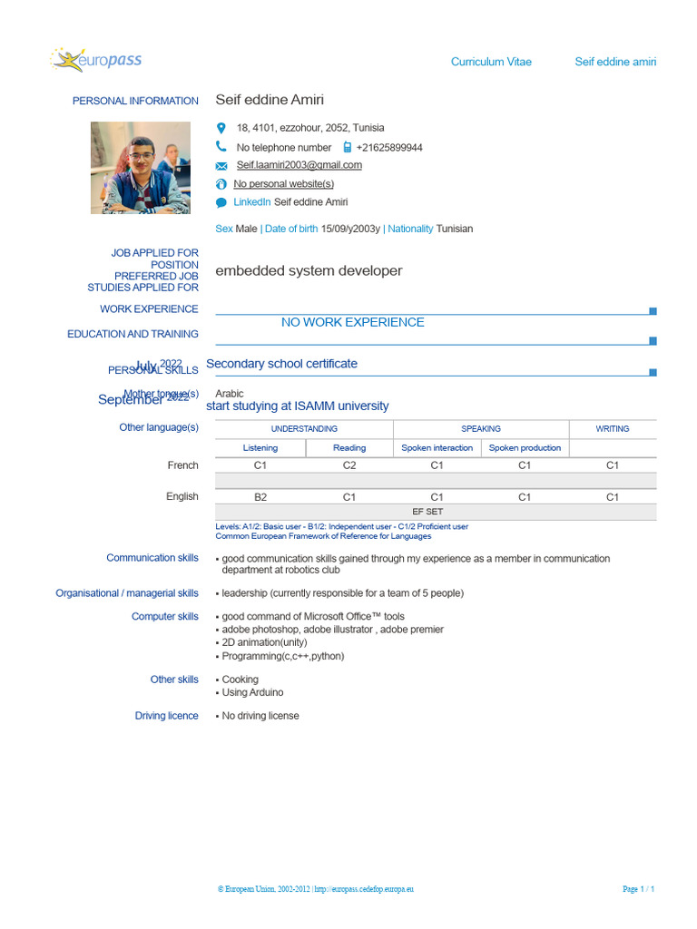Europass CV Template | Download Free PDF | Computing