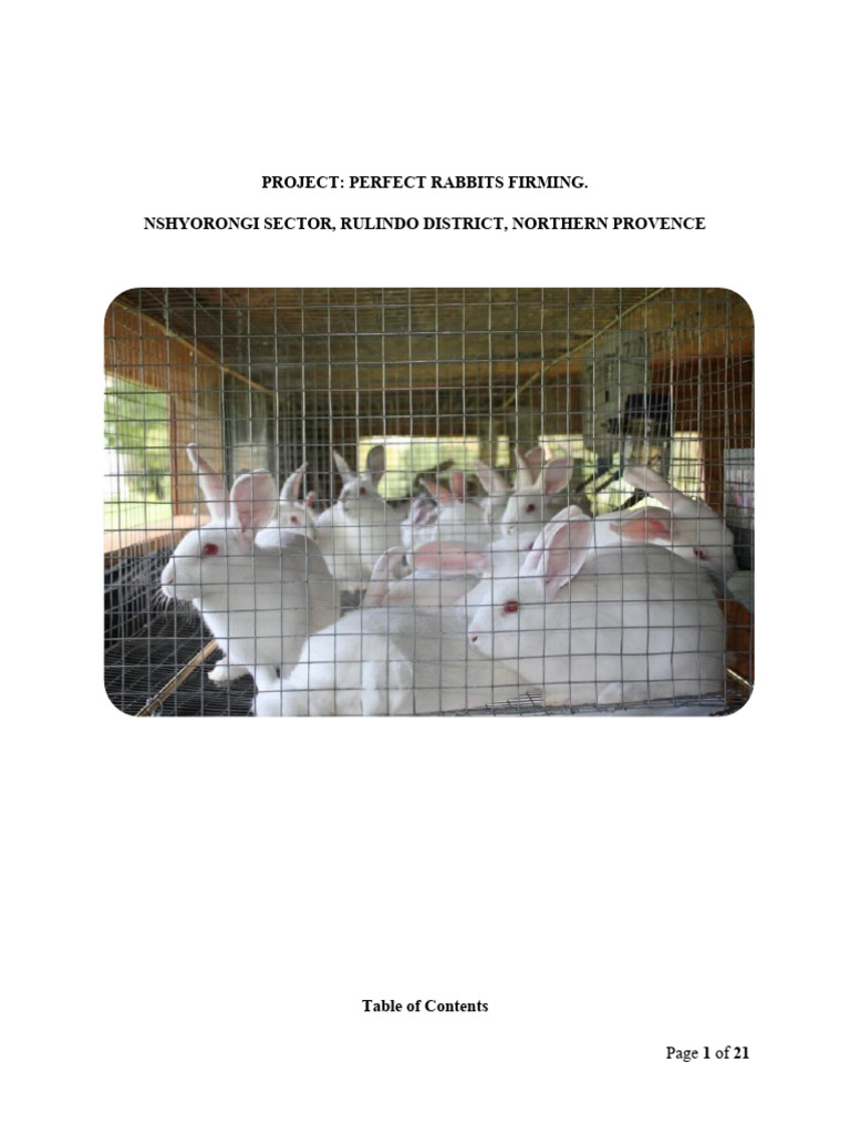 PROJECT PLAN To Impliment Rabbits Final | Download Free PDF | Expense ...