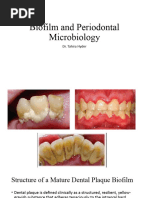 1998 - Socransky - Microbial Complexes in Subgingival Plaque | PDF ...