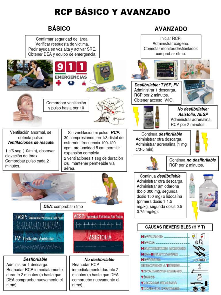 Infografía de RCP básico y avanzado | PDF | Reanimación cardiopulmonar | Medicina CLINICA
