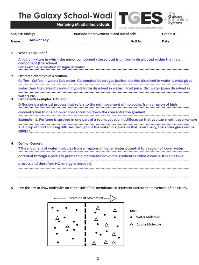 (ANS) Diffusion, Osmosis & Active Transport | PDF | Biology | Chemistry