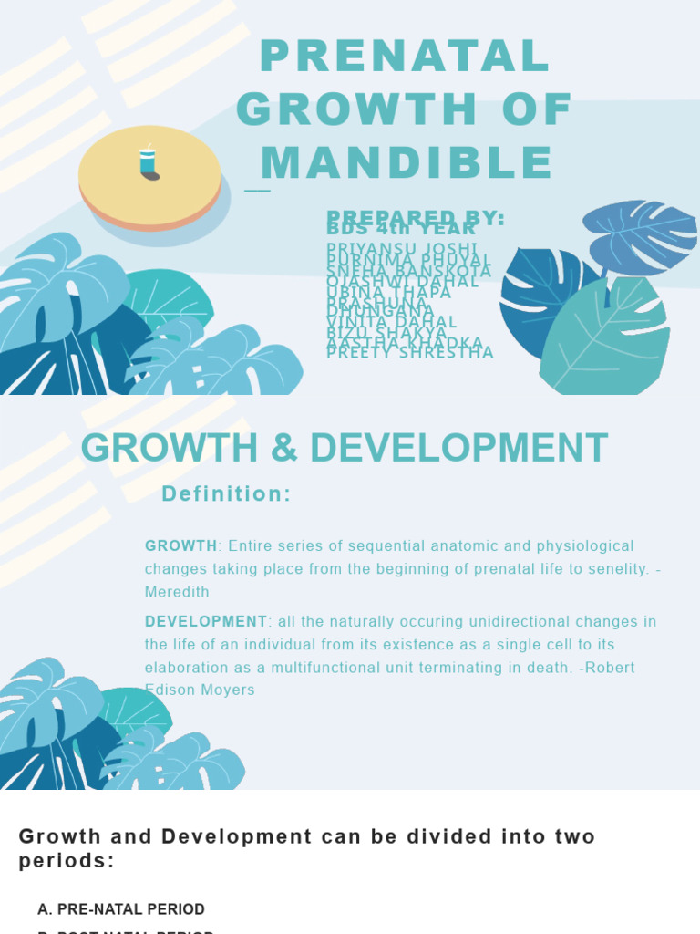 PRENATAL GROWTH OF MANDIBLE (1) | PDF | Prenatal Development | Anatomy