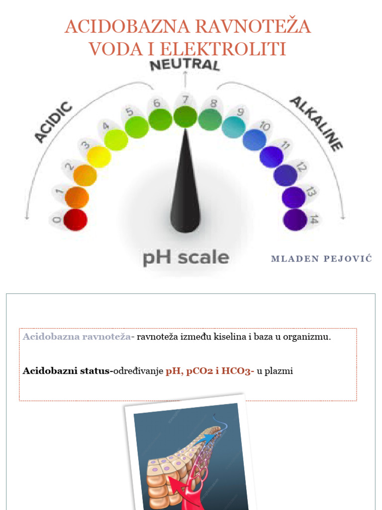 Acidobazna Ravnoteža | PDF