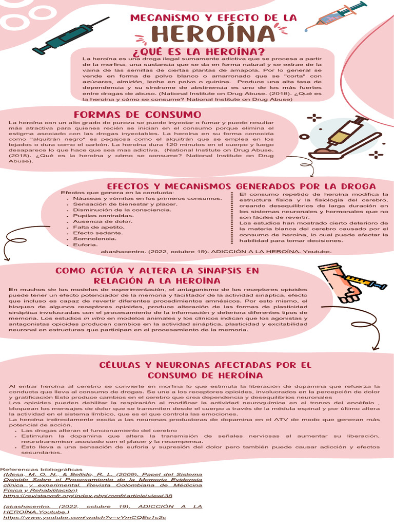 Infografía de La Heroina | PDF | Heroína | Sinapsis