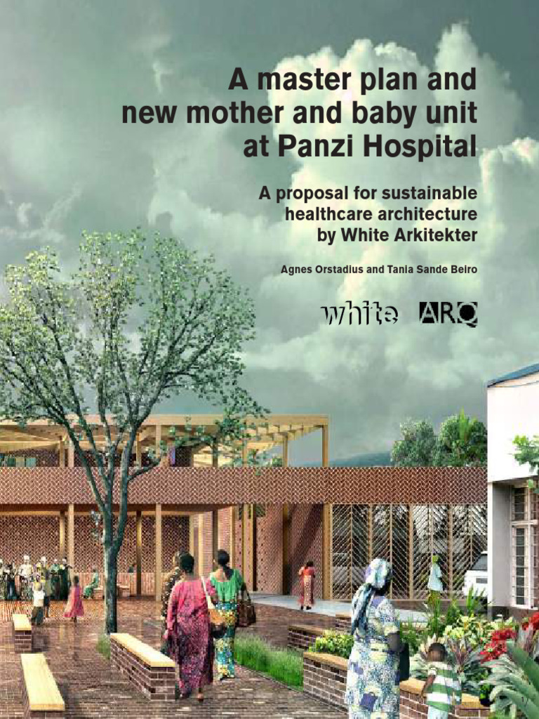 Sustainable Healthcare Design for Panzi Hospital | PDF | Health Care ...