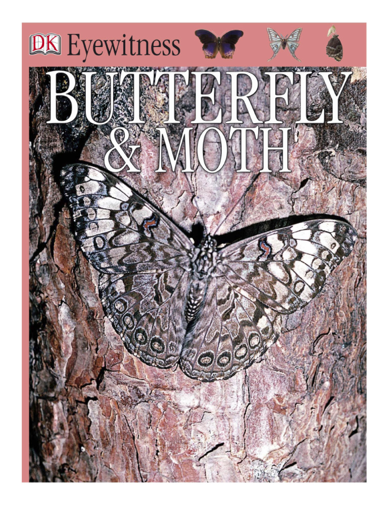 Butterfly & Moth (DK Eyewitness) | PDF