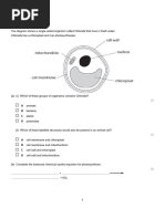 Calculation-Magnification-Qs Pack-Gcse | PDF | Micrograph | Cell (Biology)