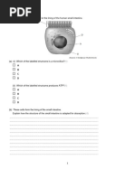 Calculation-Magnification-Qs Pack-Gcse | PDF | Micrograph | Cell (Biology)