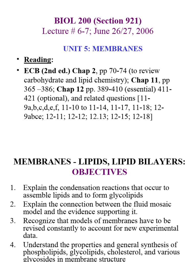 Lecture 6-7 | PDF | Cell Membrane | Lipid Bilayer