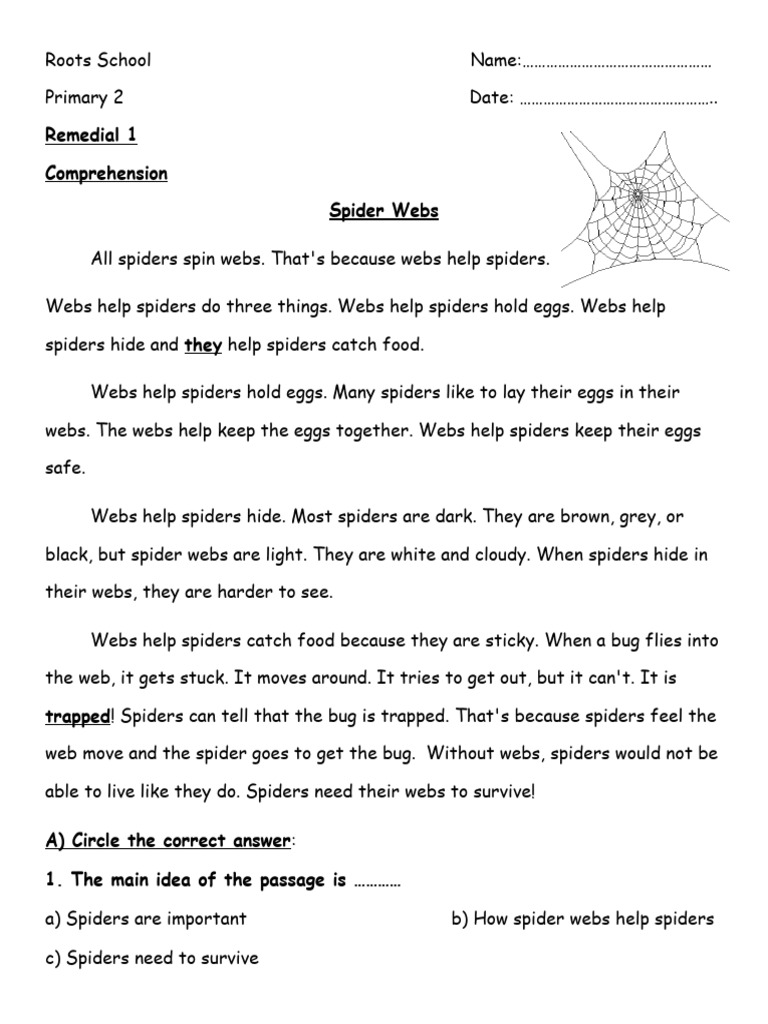 Spider Webs | PDF | Spider Web | Spider