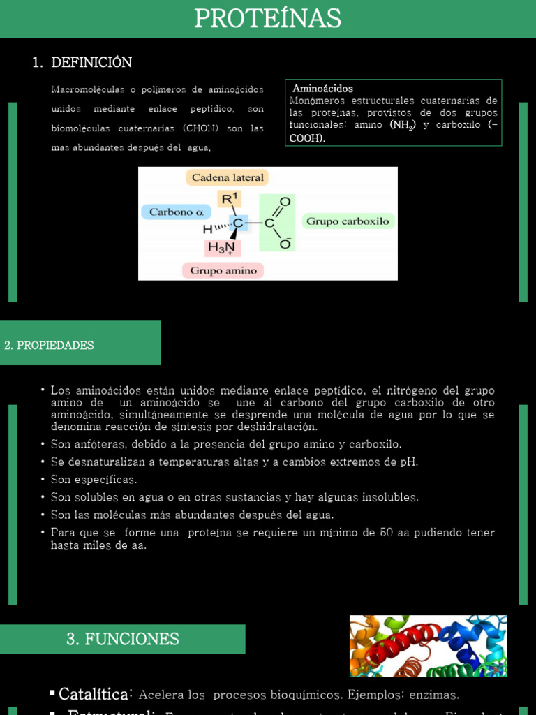 Proteínas | PDF | Proteínas | Péptido
