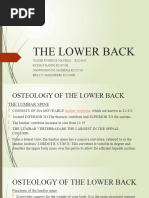 Netter - Atlas of Human Anatomy | PDF | Abdomen | Pelvis