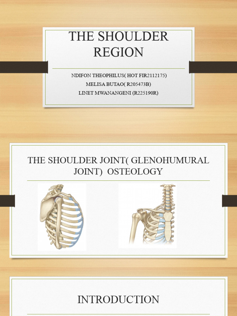 Shoulder Presentation | Download Free PDF | Arm | Anatomical Terms Of ...