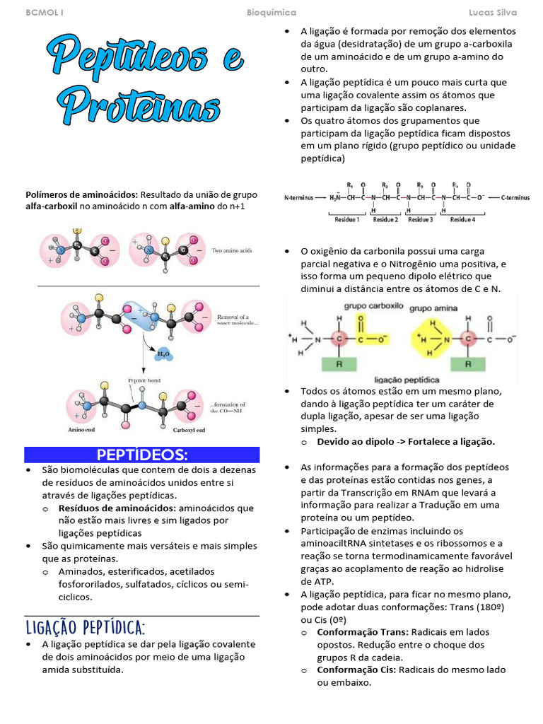 Resumo - Peptideos e Proteínas | PDF | Proteínas | Enovelamento de ...