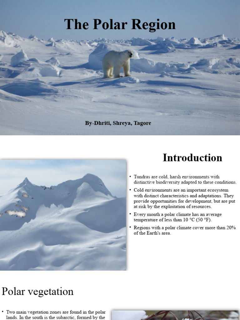 The Polar Region Geo | PDF