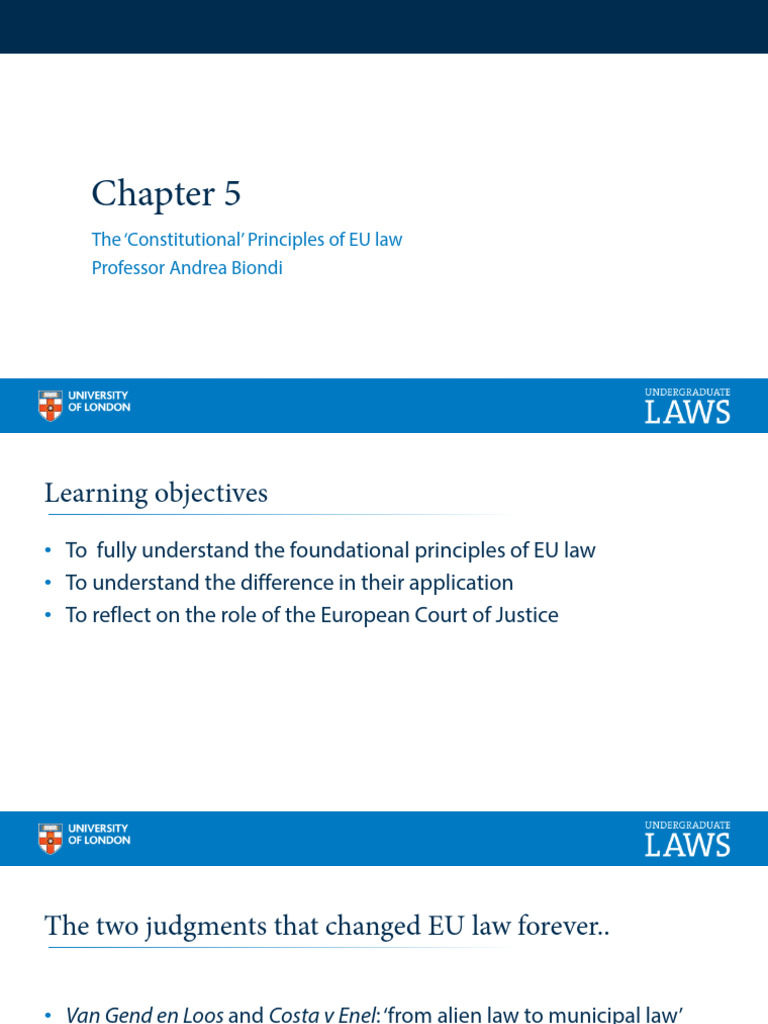 EU Chapter 5 Slides | PDF