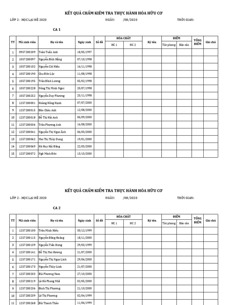 Phiếu chấm KT TH HHC (Lớp 2 HHC - Hè 2020) | PDF