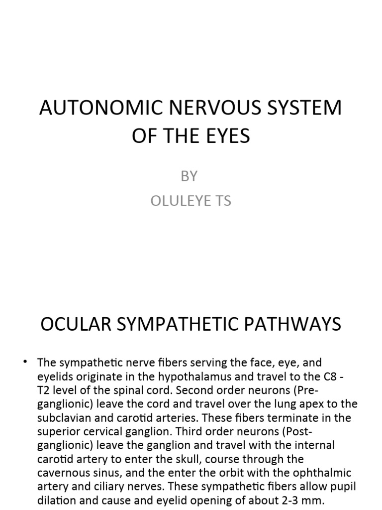 Autonomic Nervous System of The Eyes | PDF | Anatomy | Neuroanatomy