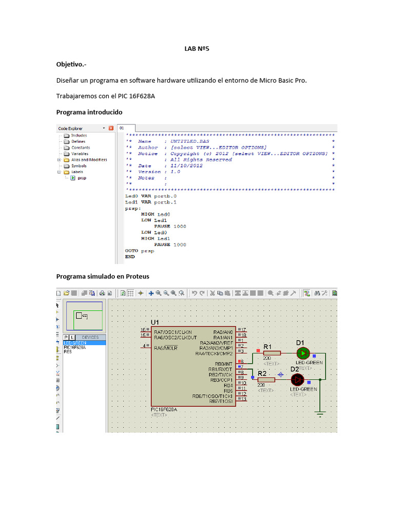 Micro Basic Pro y PIC 16F628A | PDF | Negocios | Tecnología