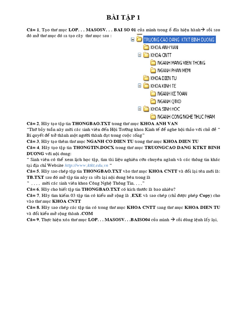 Bai Tap Windows | PDF