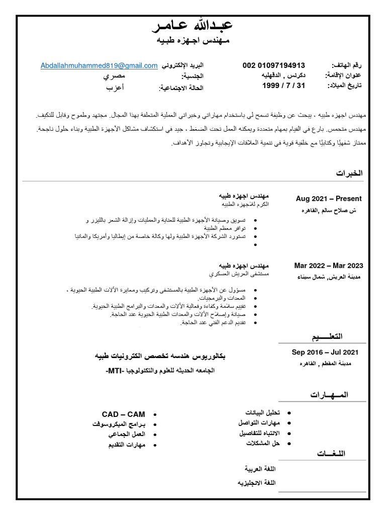 Arabic CV | PDF