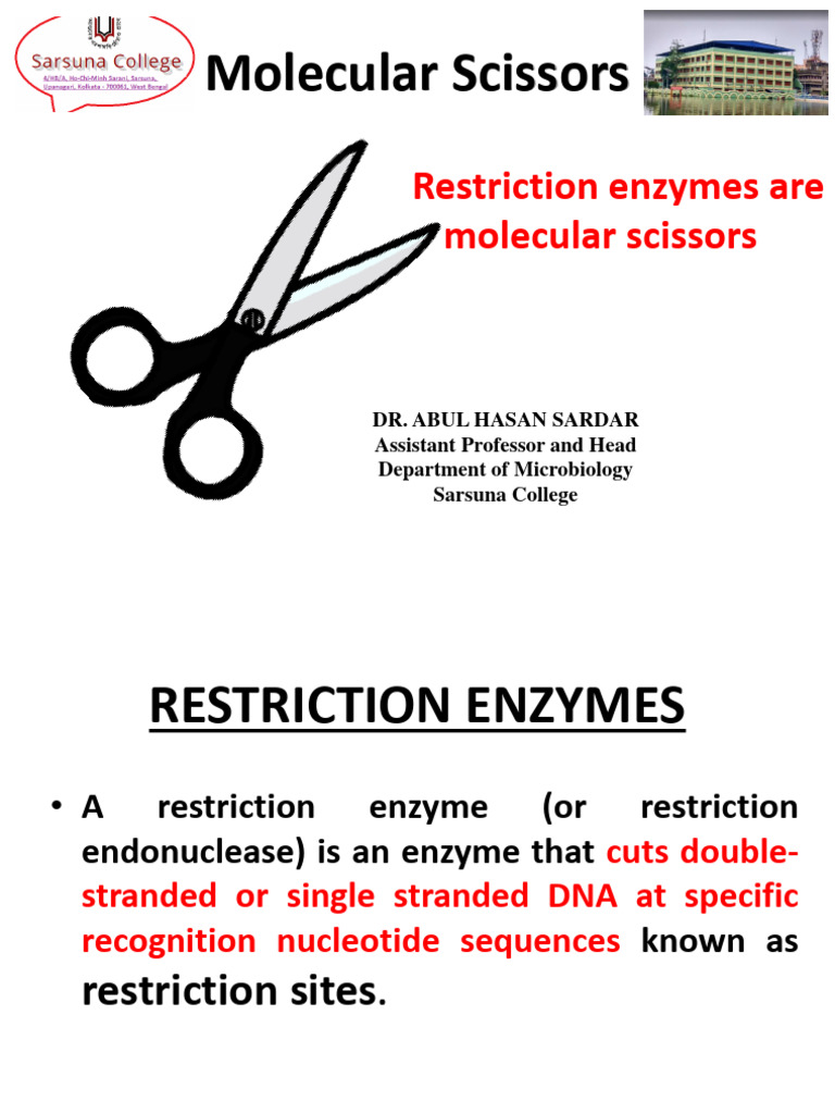 Lecture - 1 - Restriction Enzymes | PDF | Restriction Enzyme | Nucleic ...