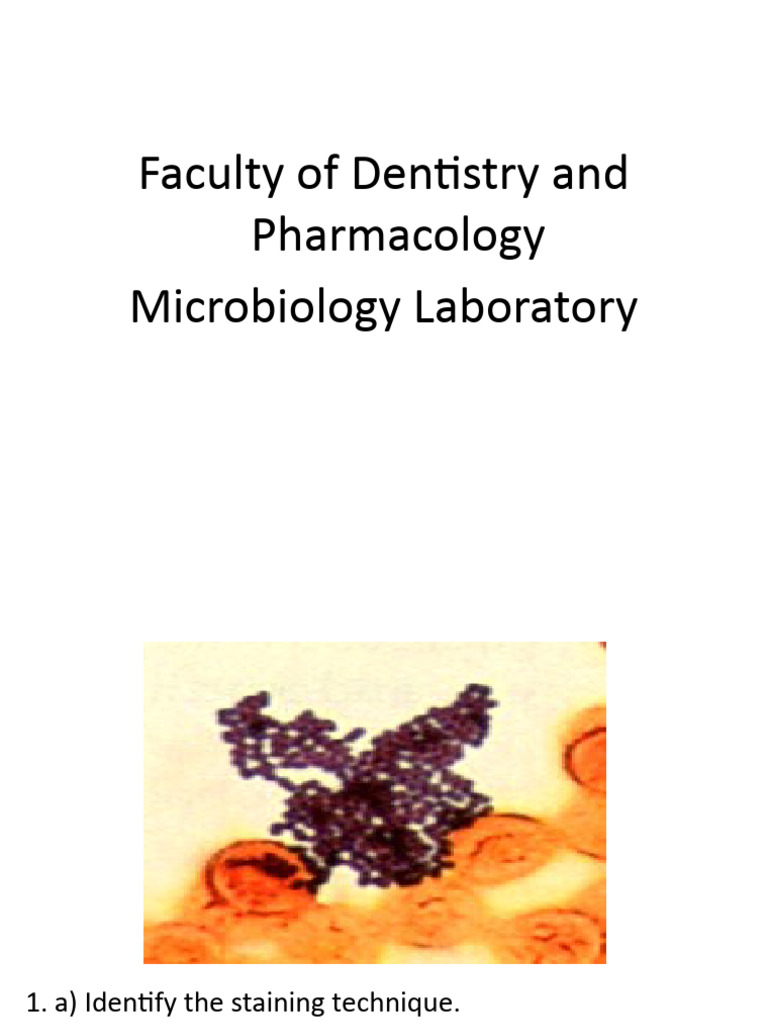 Exam Lab Micro | PDF | Staphylococcus | Biology