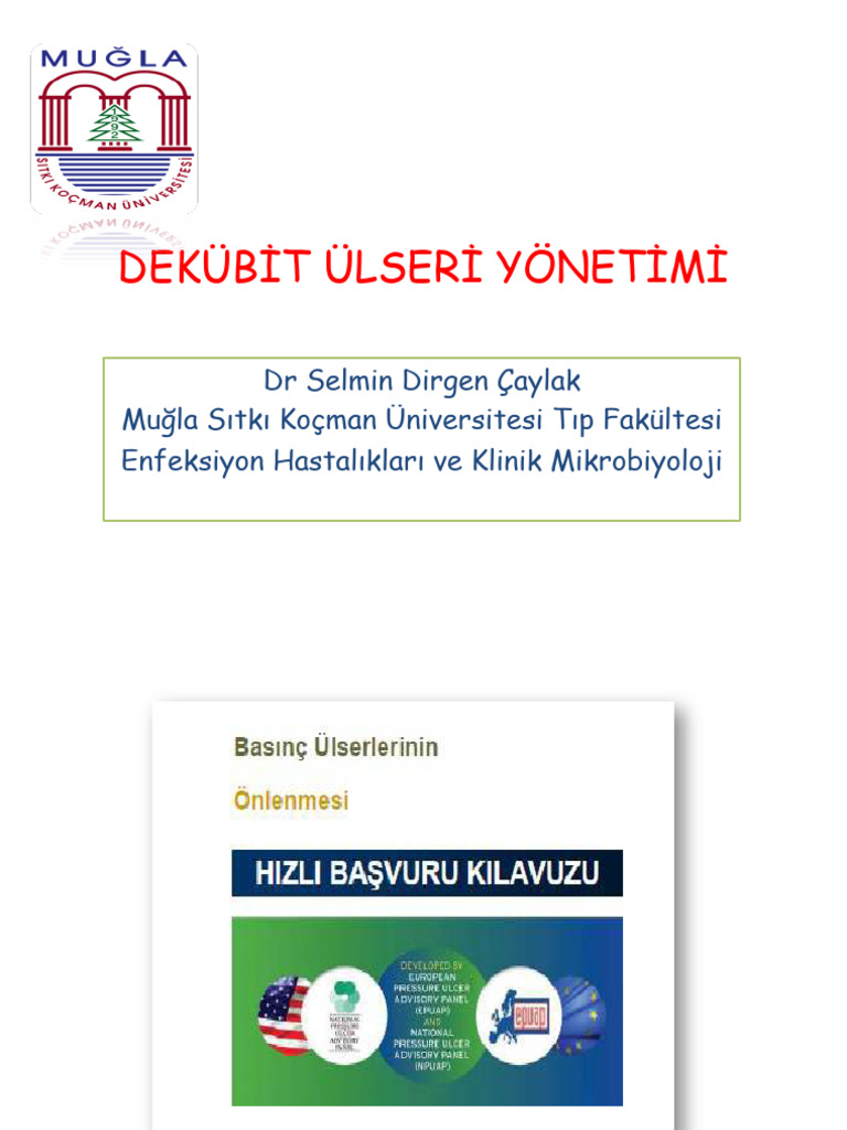 Dekubit Ulseri Yonetimi | PDF