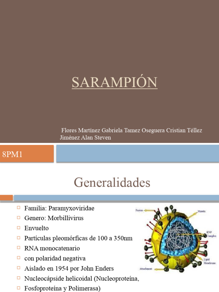 Sarampión | PDF | Sarampión | Especialidades Medicas
